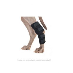 SOUTIEN DU TARSE POUR CHIEN - Orthopédie Canine