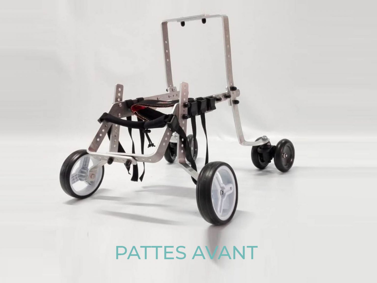 CHARIOT POUR CHIEN HANDICAPÉ DES PATTES AVANT - DE 6 À 17 KG ...